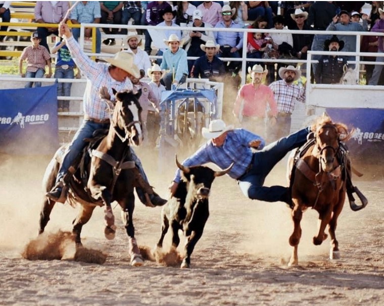 Rodeo a la vista